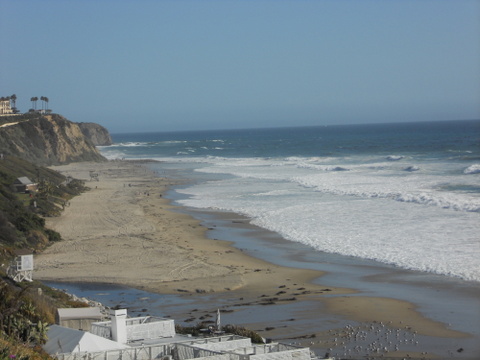 Dana Point-Salt Creek Beach Park | Swim Guide