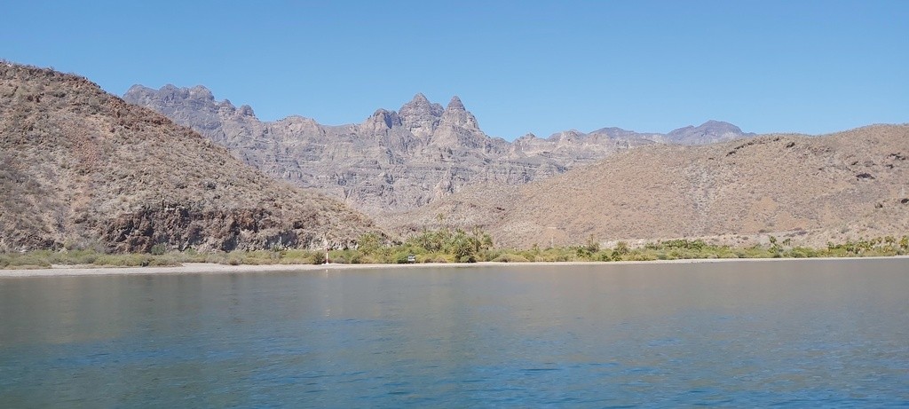 Playa Juncalito | Swim Guide