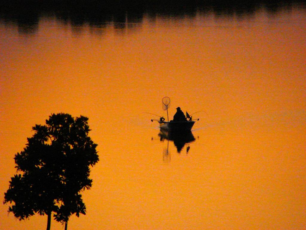 Niles Beach South - Quarry Lake Regional Recreational Area - Swim Guide