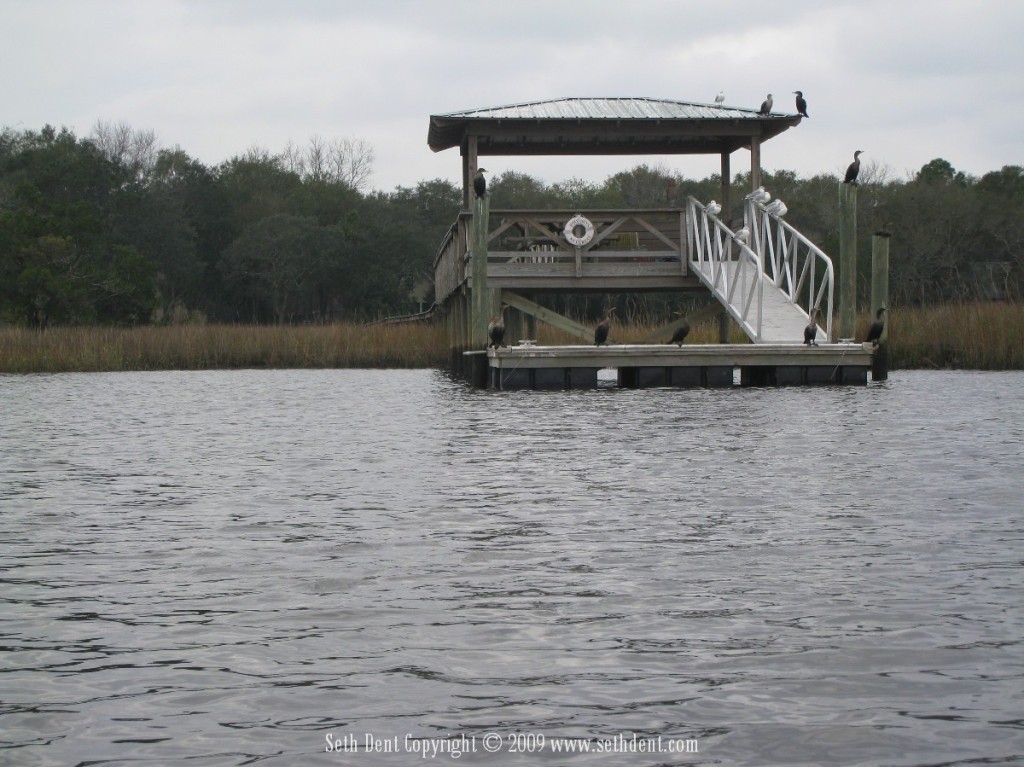 Coastal Georgia Canoeing Trail- Dark Entry - Swim Guide