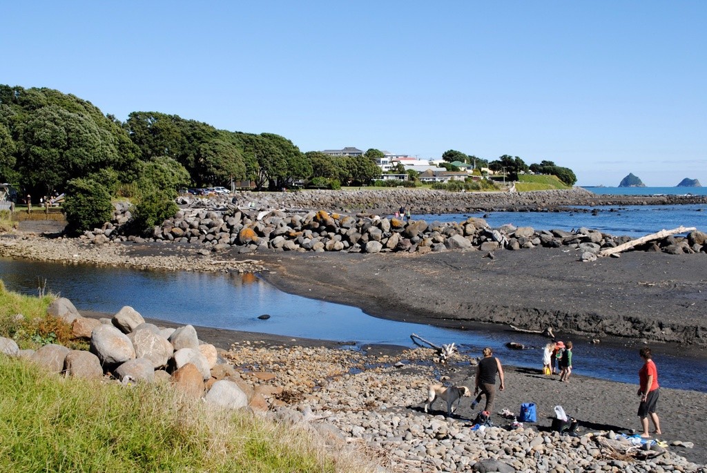 Te Henui Stream at stream mouth, East End - Swim Guide