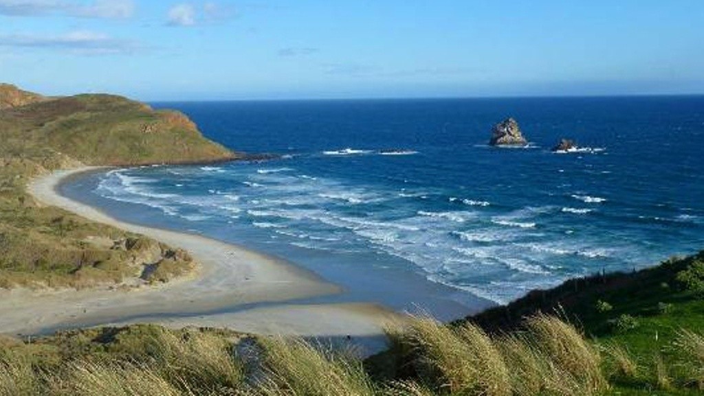 Sandfly Bay | Swim Guide