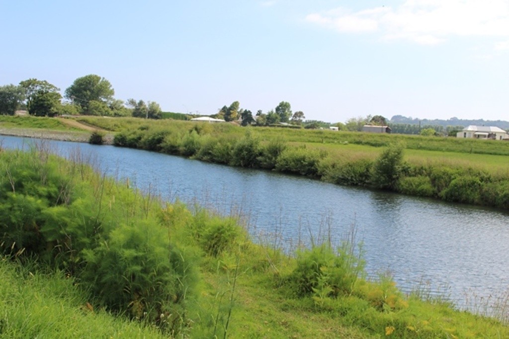 Otara River at SH35 | Swim Guide