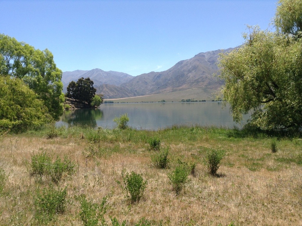 Lake Benmore at Pumpkin Bay - Swim Guide