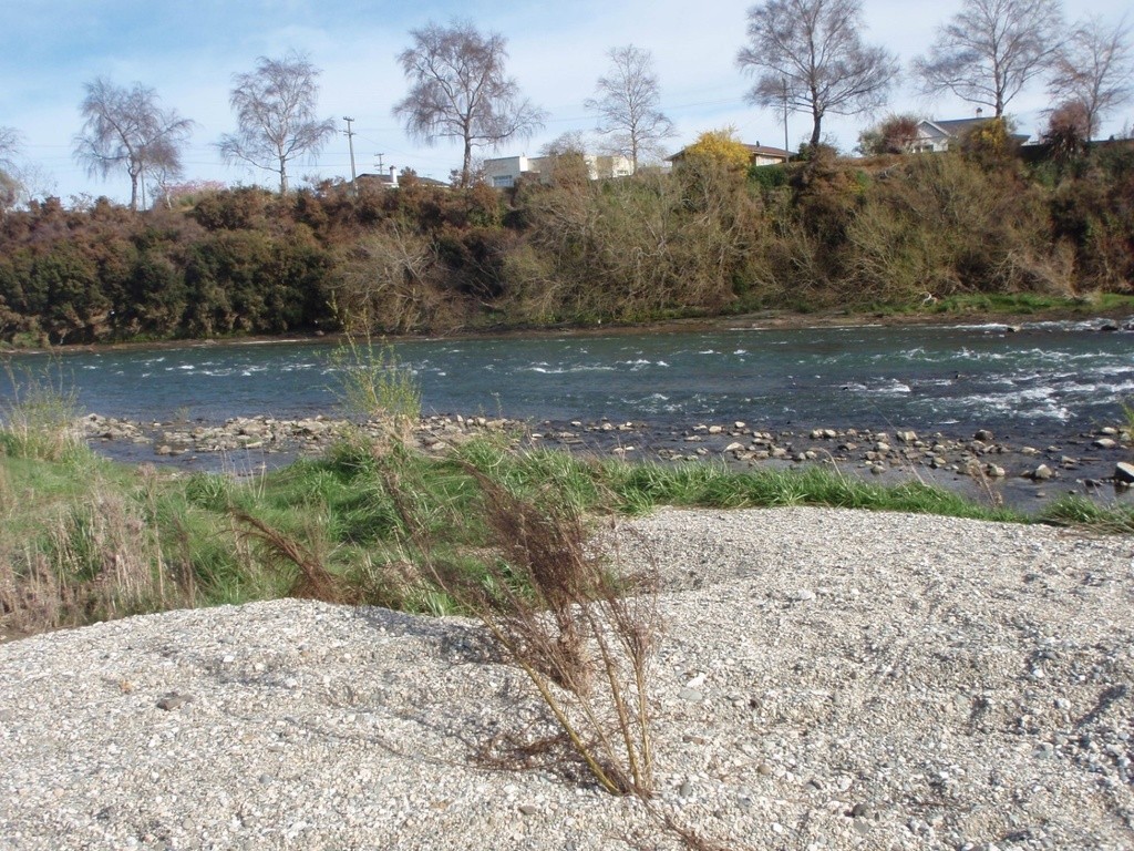 Mataura River 200m d/s Mataura Bridge | Swim Guide