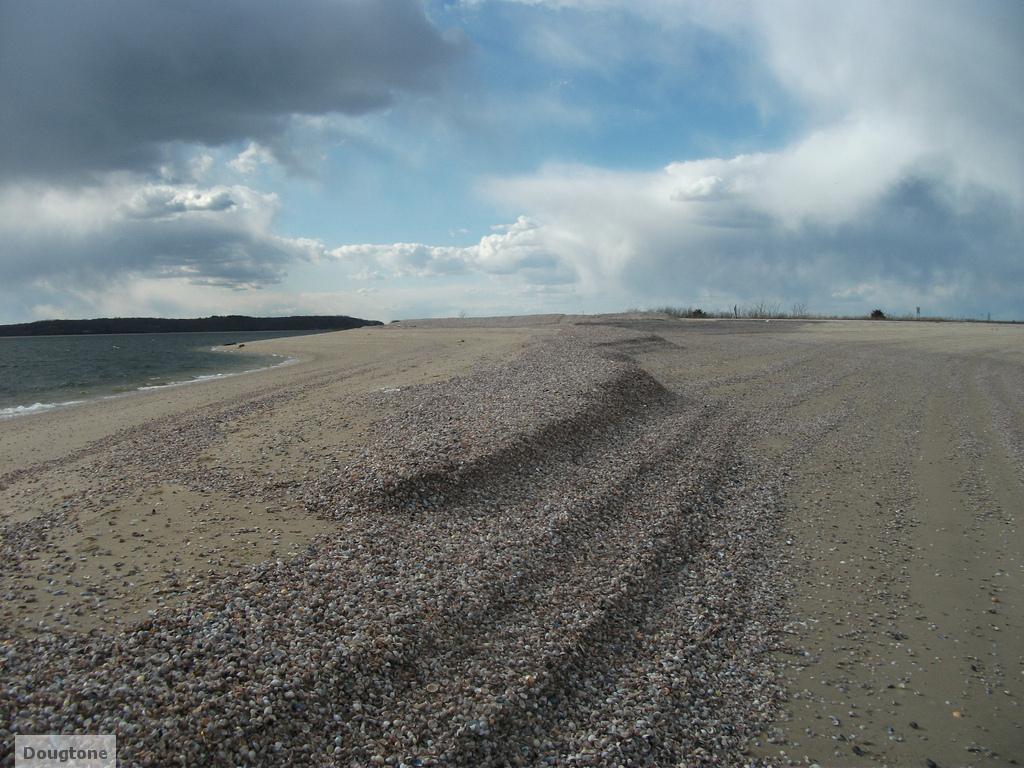 Prices Bend Beach - Swim Guide
