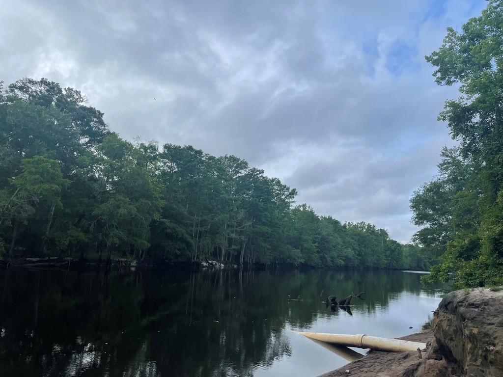 Lumber River - Boardman Boat Ramp - Swim Guide