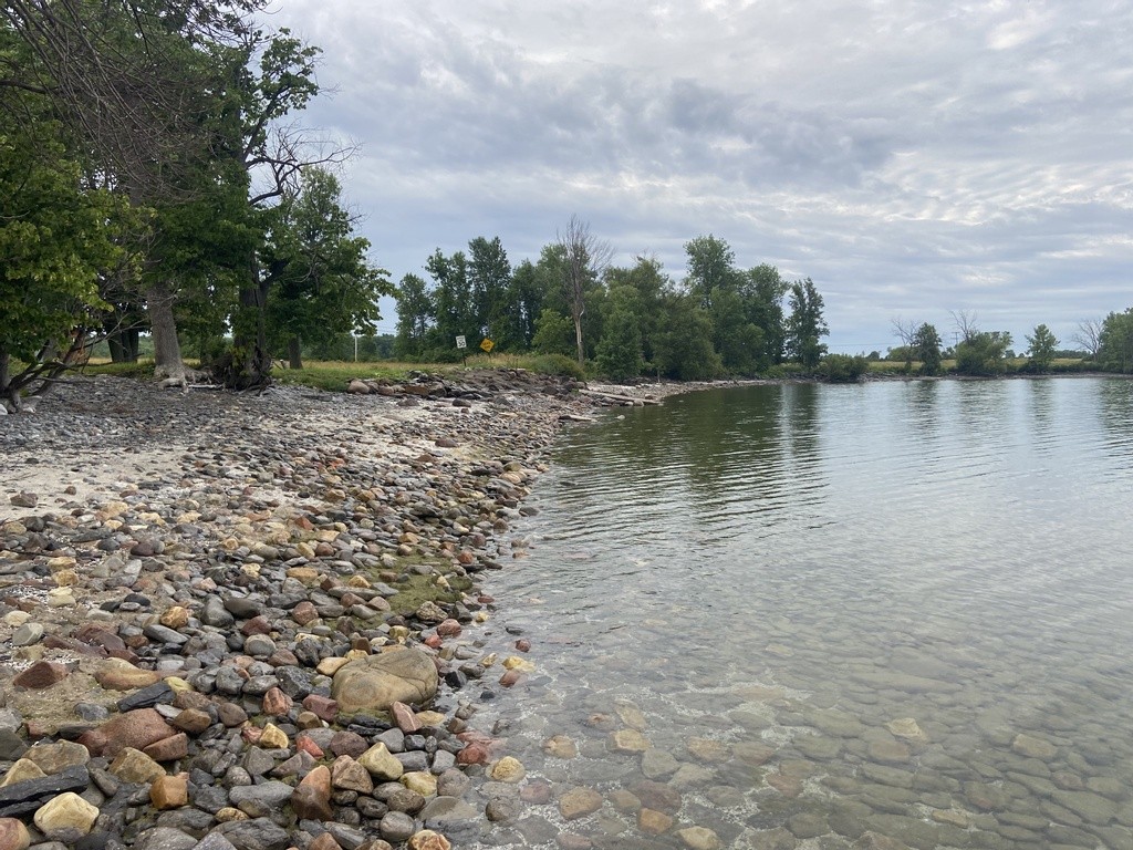 Wilson's Bay - Swim Guide