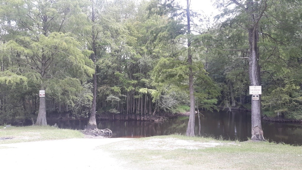 Lumber River - Harper's Ferry Church - Swim Guide