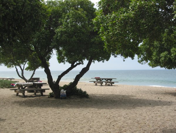 Sycamore Canyon Beach / Sycamore Cove | Swim Guide