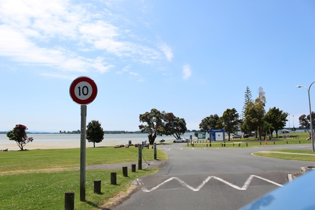 Tauranga Harbour at Tilby Point Reserve, Matua - Swim Guide