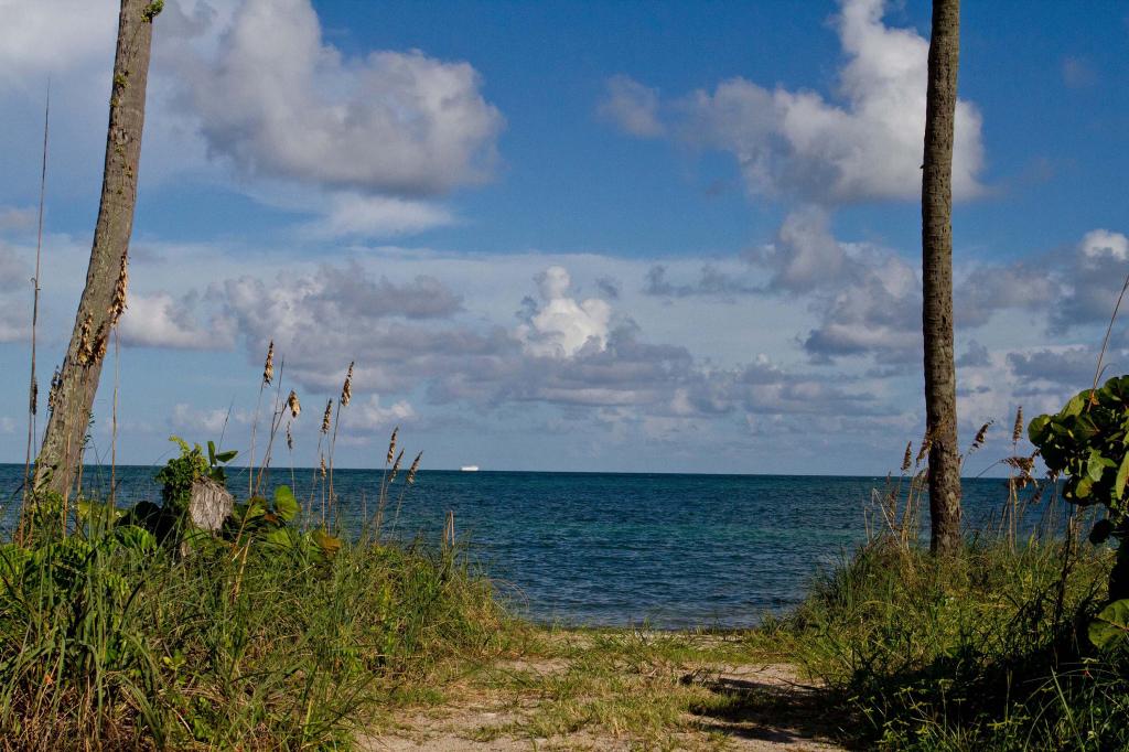 Virginia Key Beach - Swim Guide