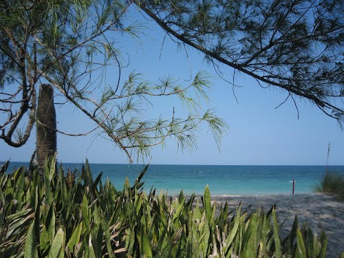 Wabasso Beach Park | Swim Guide