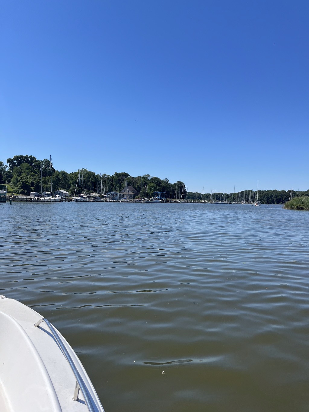 Worton Creek - Swim Guide