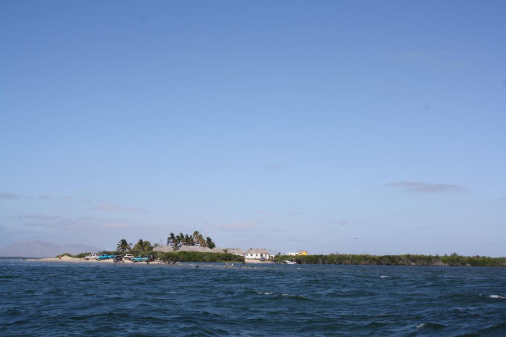 Punta Palapa - Swim Guide