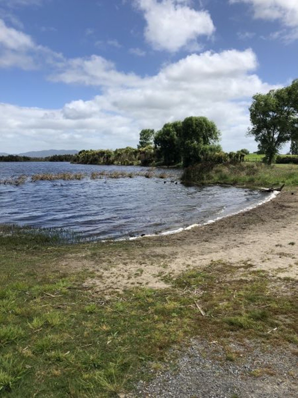 Lake Kainui (Lake D) - Swim Guide
