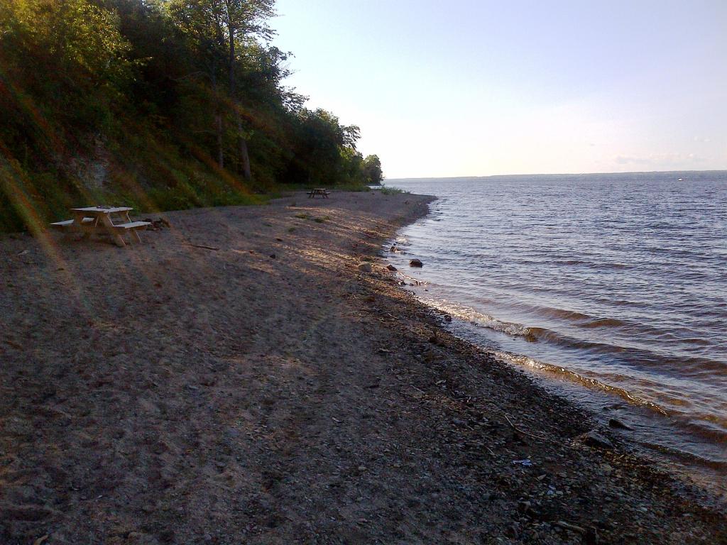 Plage Braeside Beach | Swim Guide