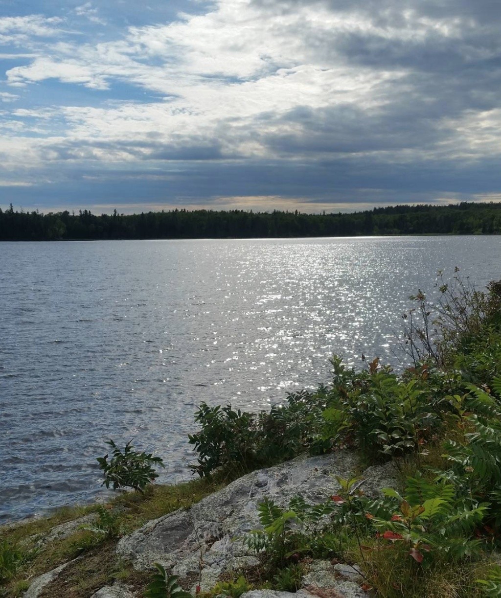 Caddy Lake Beach | Swim Guide