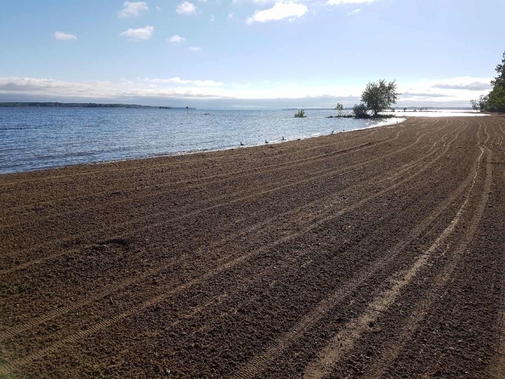 Sibbald Point Provincial Park - Swim Guide