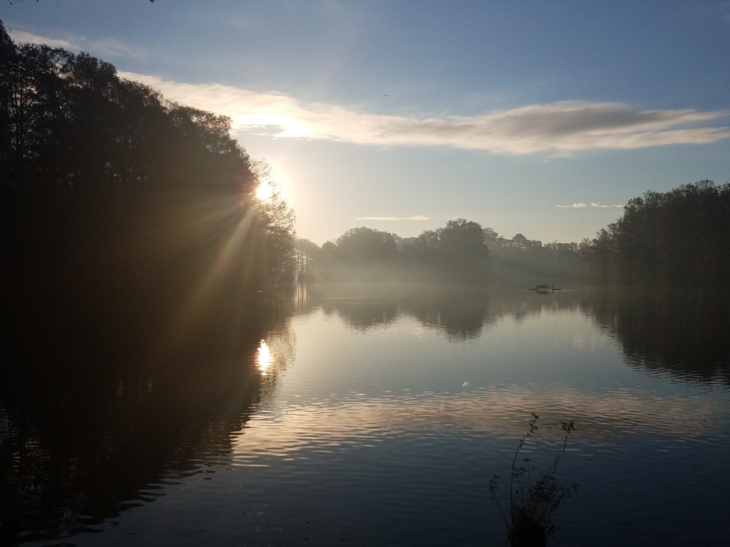 Greenfield Lake Boathouse - Swim Guide