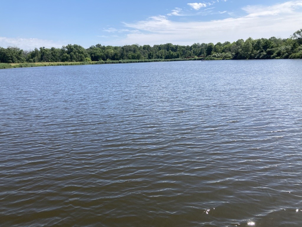 (ROL1) Rosedale Lake - Swim Guide