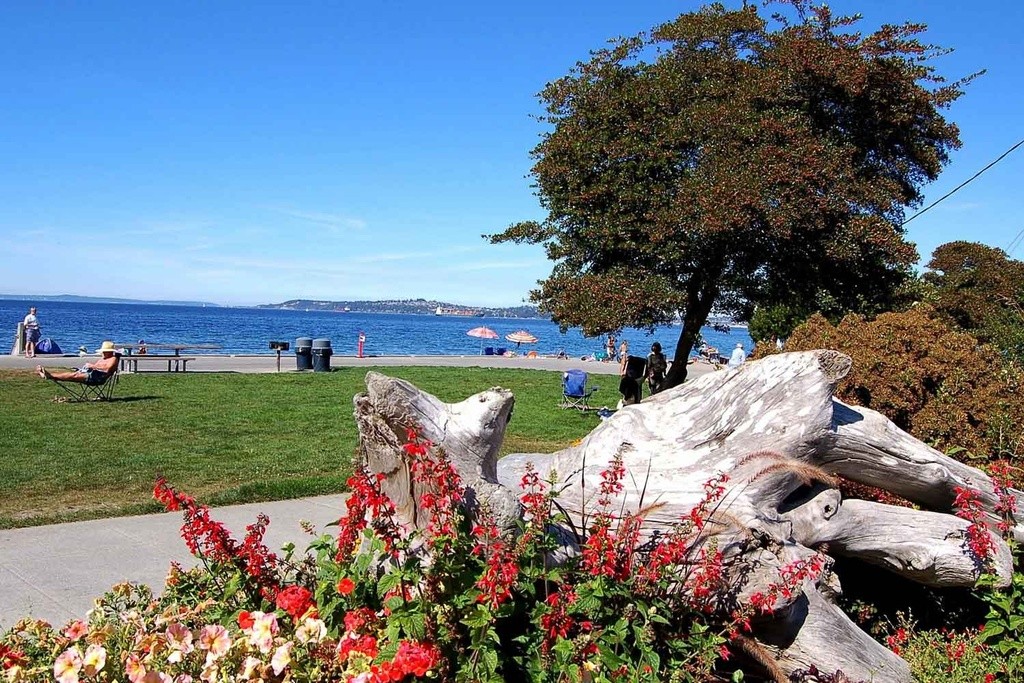 Alki Beach Park - Swim Guide