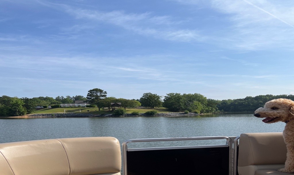 Lake Wylie - Tega Cay Beach Club | Swim Guide