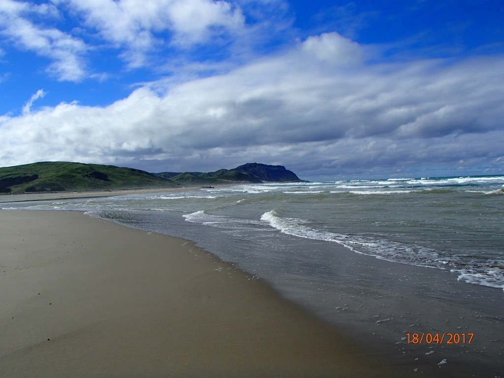 Wainui Stream at Herbertville | Swim Guide