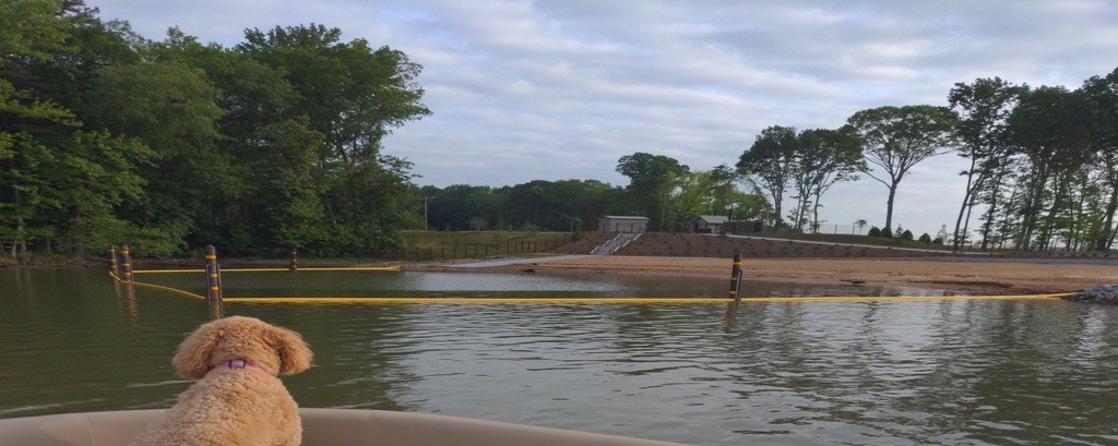 Lake Wylie - South Point Beach | Swim Guide