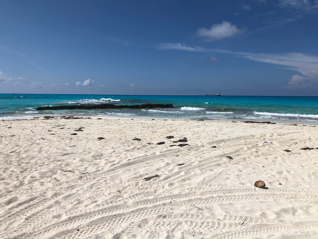 Shipwreck Point - Swim Guide