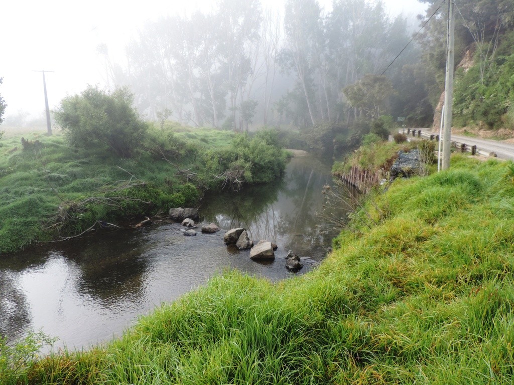 Tirohanga River at Tirohanga Road | Swim Guide