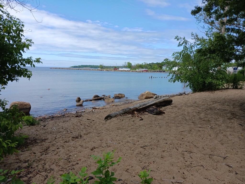 Old Mill Beach - Swim Guide