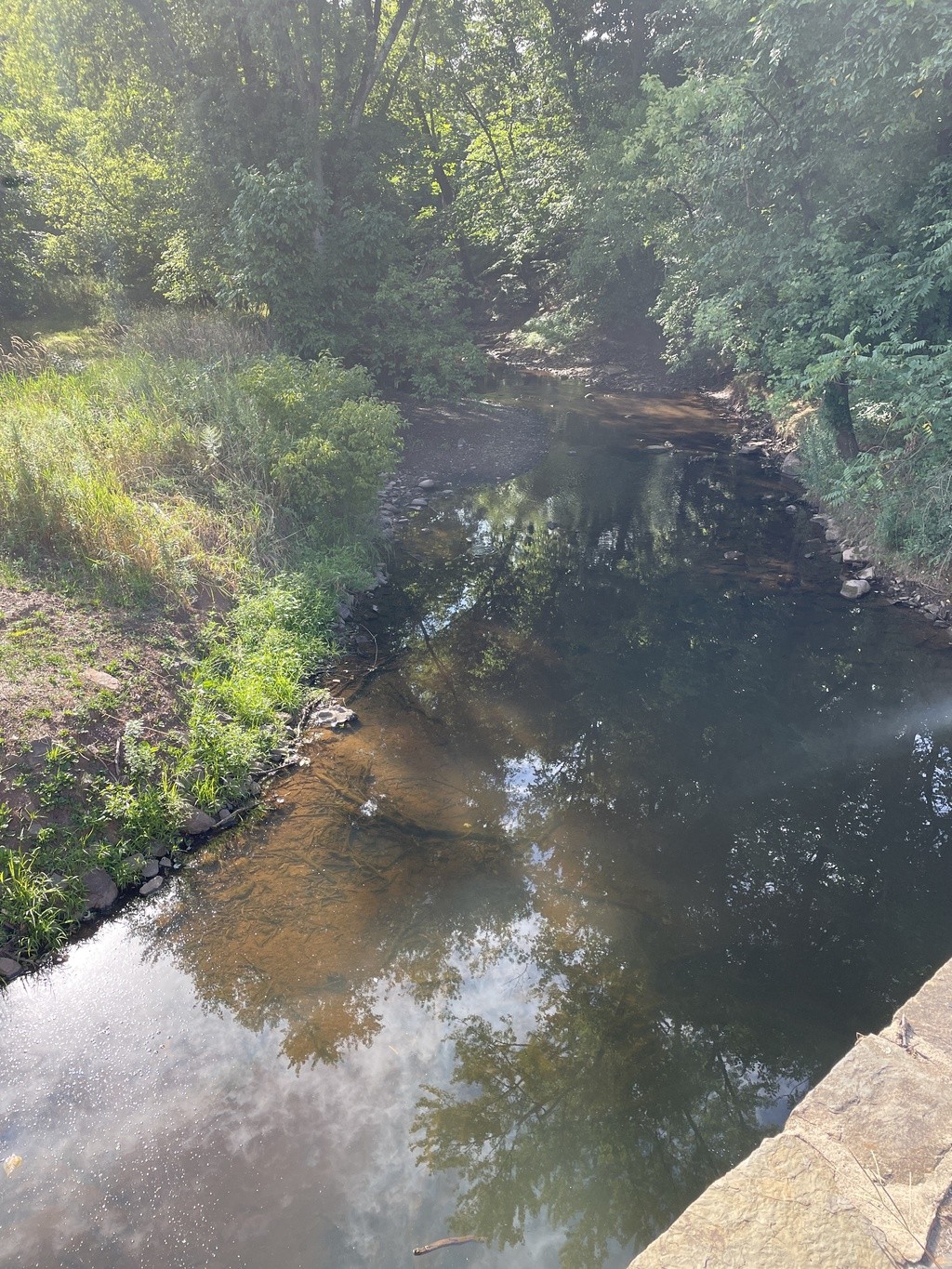 (SM1) Six Mile Run - Swim Guide
