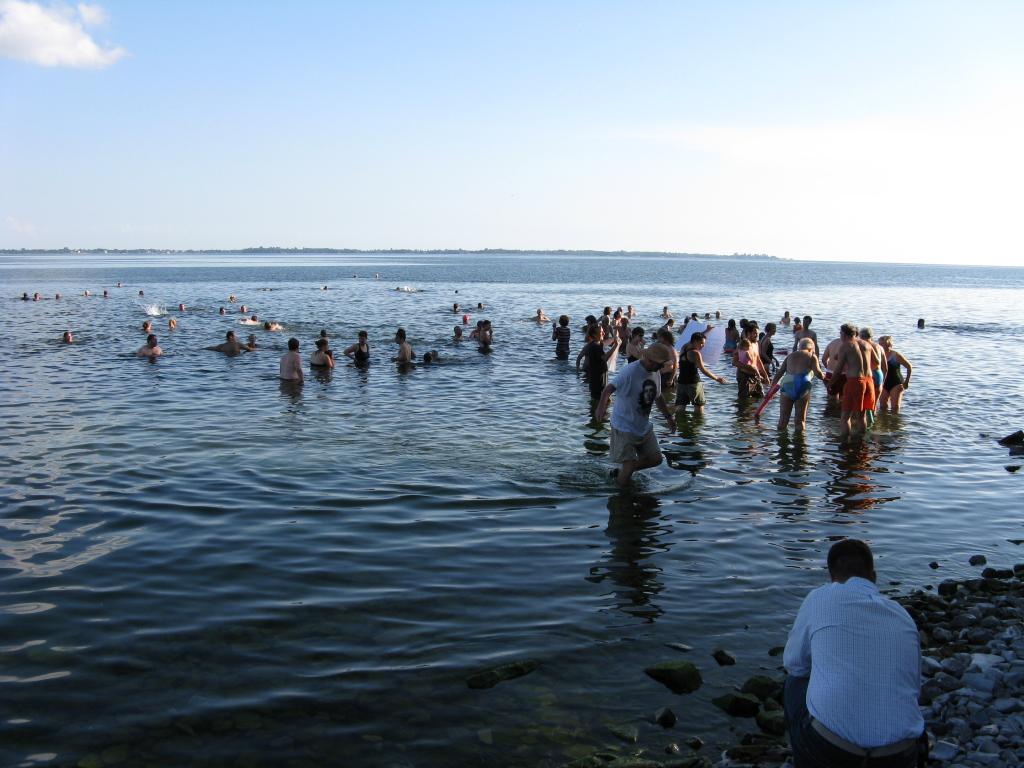 Richardson's Beach - Swim Guide