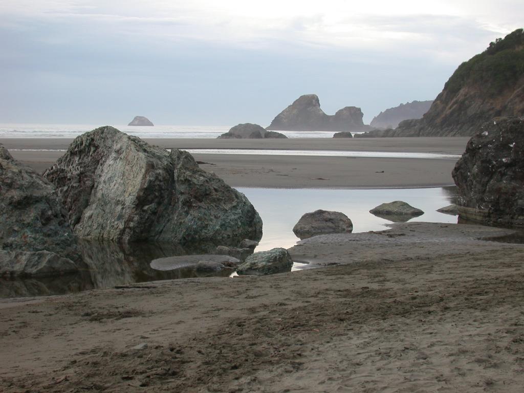 Moonstone Beach | Swim Guide