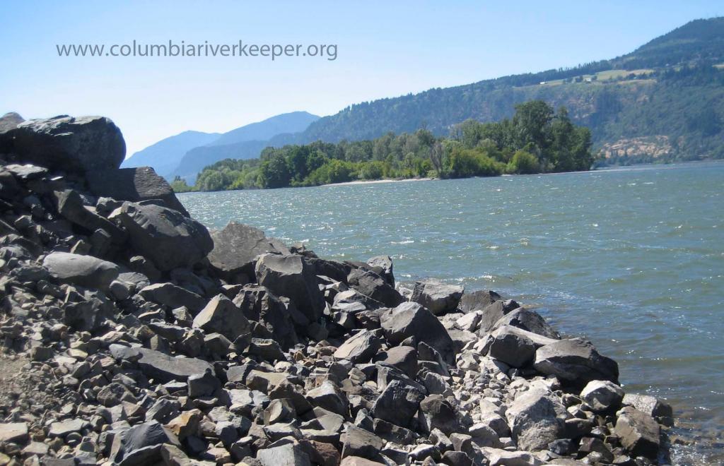 Outer Hook - Swim Guide