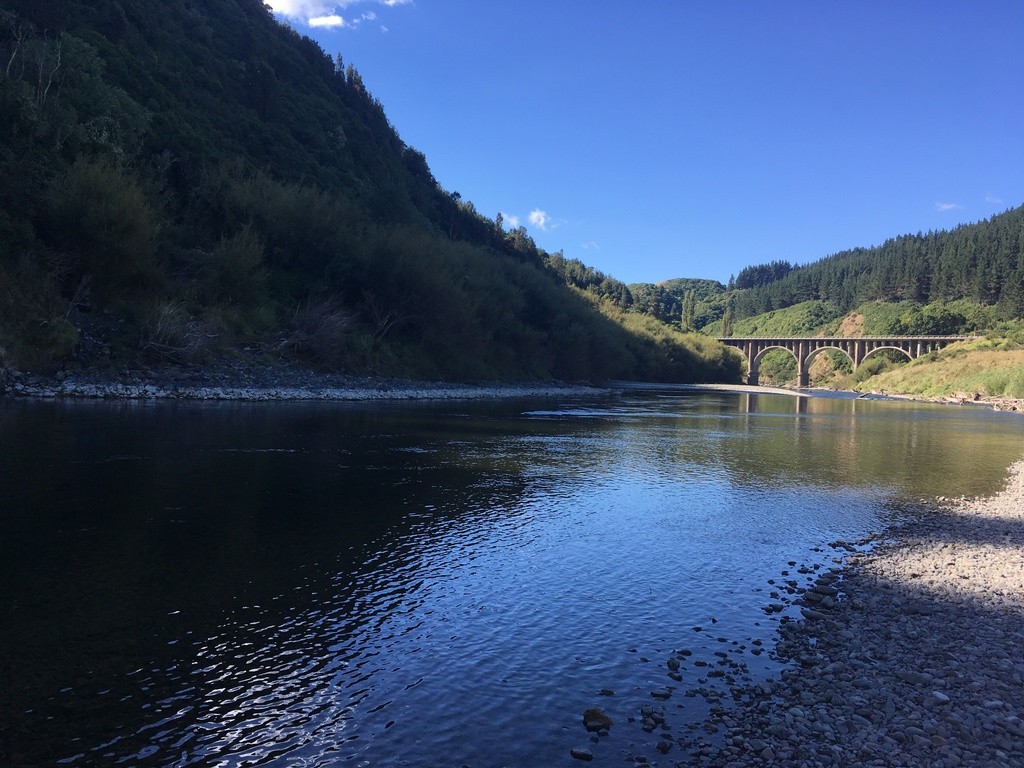 Manawatu River at Ferry Reserve | Swim Guide
