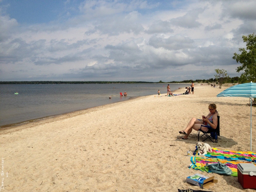 Lester Beach | Swim Guide