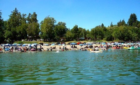 Johnson's Beach - Swim Guide