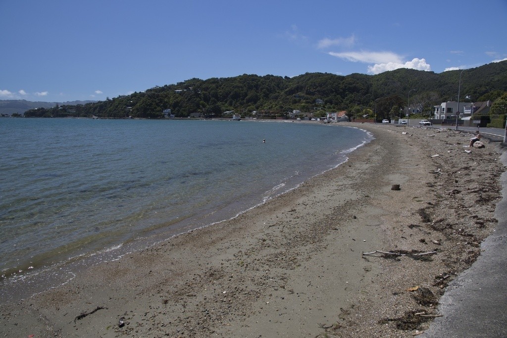 Lowry Bay at Cheviot Road - Swim Guide
