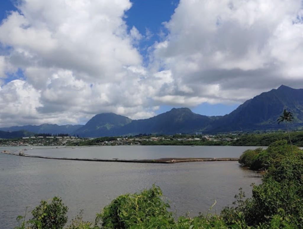 Heeia Stream | Swim Guide