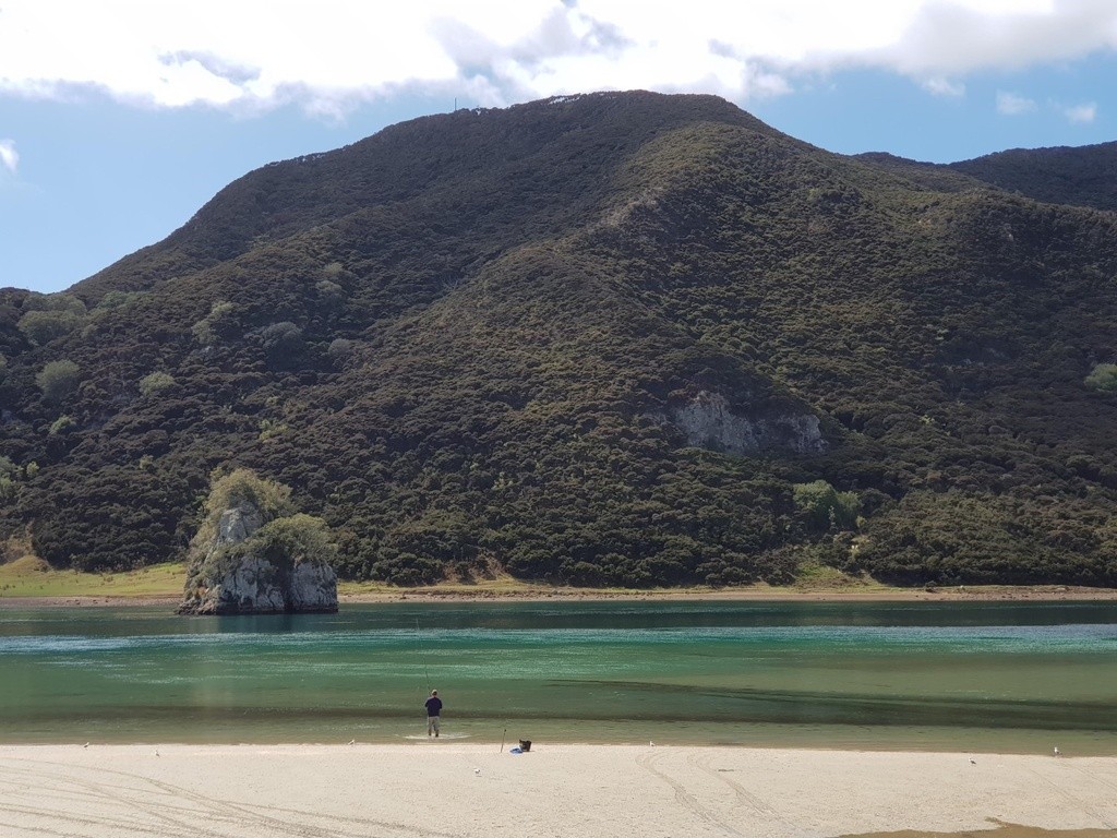 Houhora Harbour at Houhora Heads Road | Swim Guide