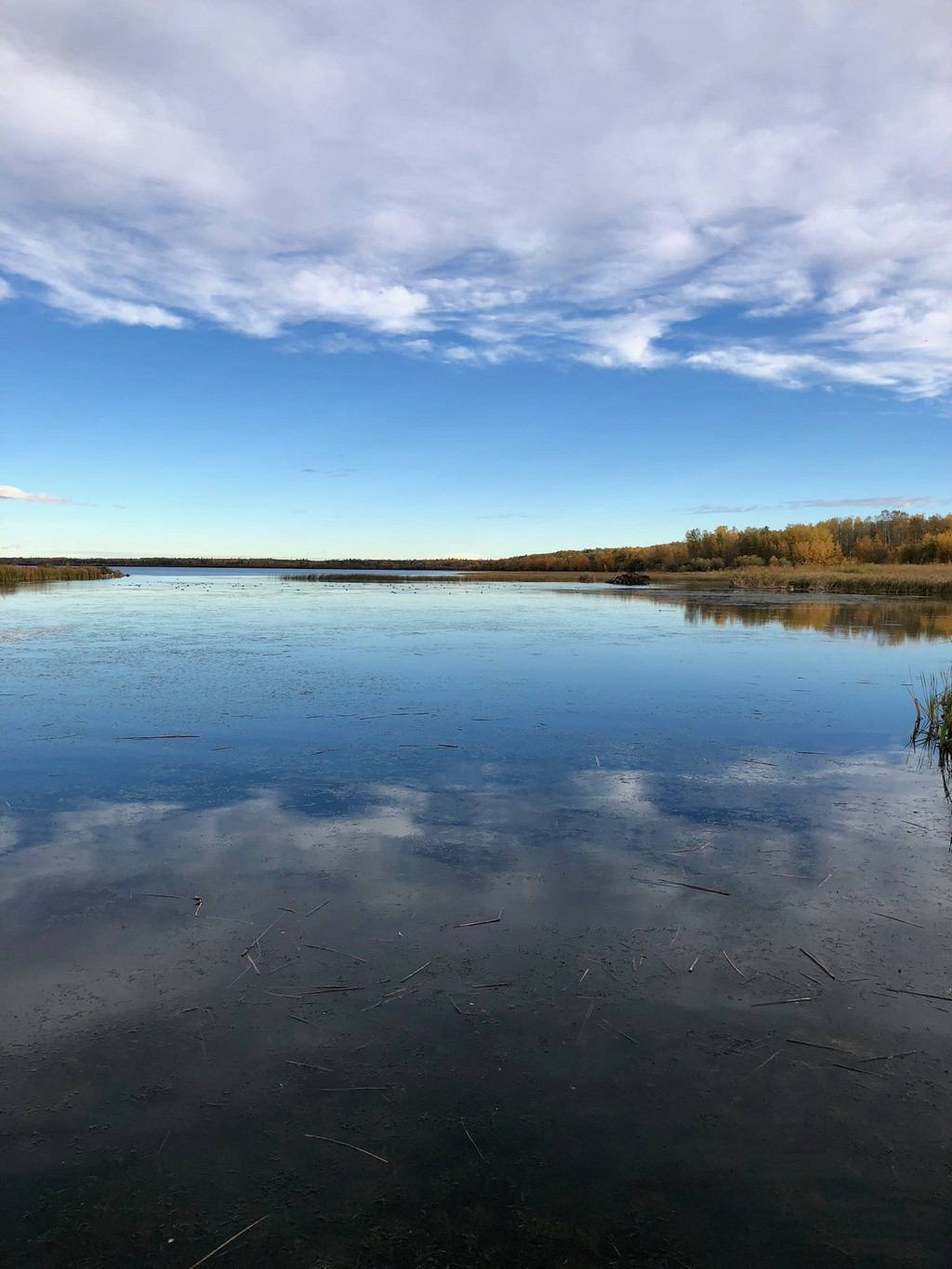 Winagami Lake - Swim Guide