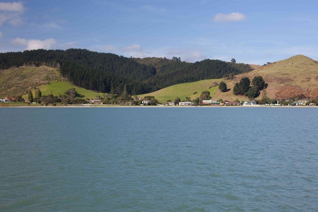 Kawakawa Bay - Swim Guide