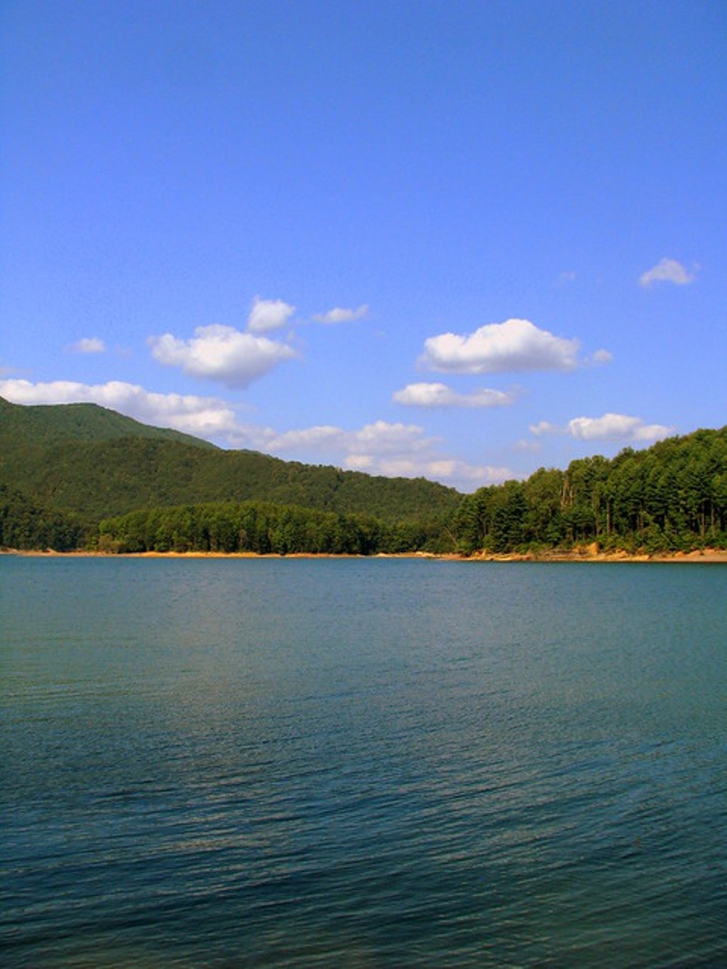 Watauga Point Recreational Area, Watauga Lake | Swim Guide