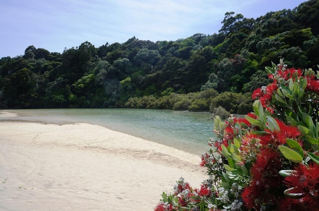 Matapouri Bay Estuary at Southern Bridge - Swim Guide