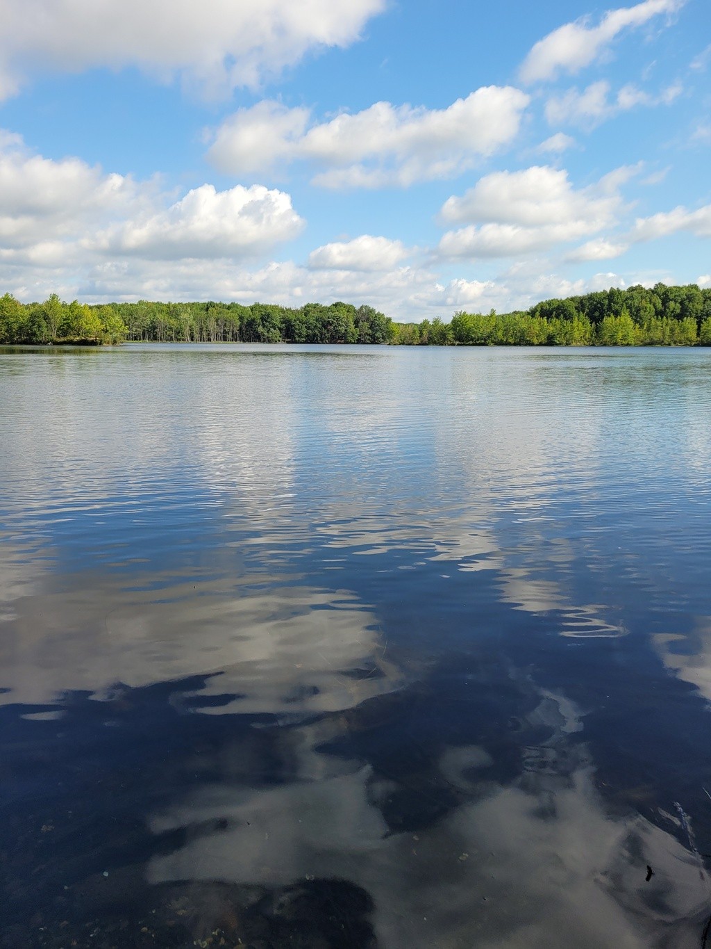 (PR1) Pike Run - Swim Guide