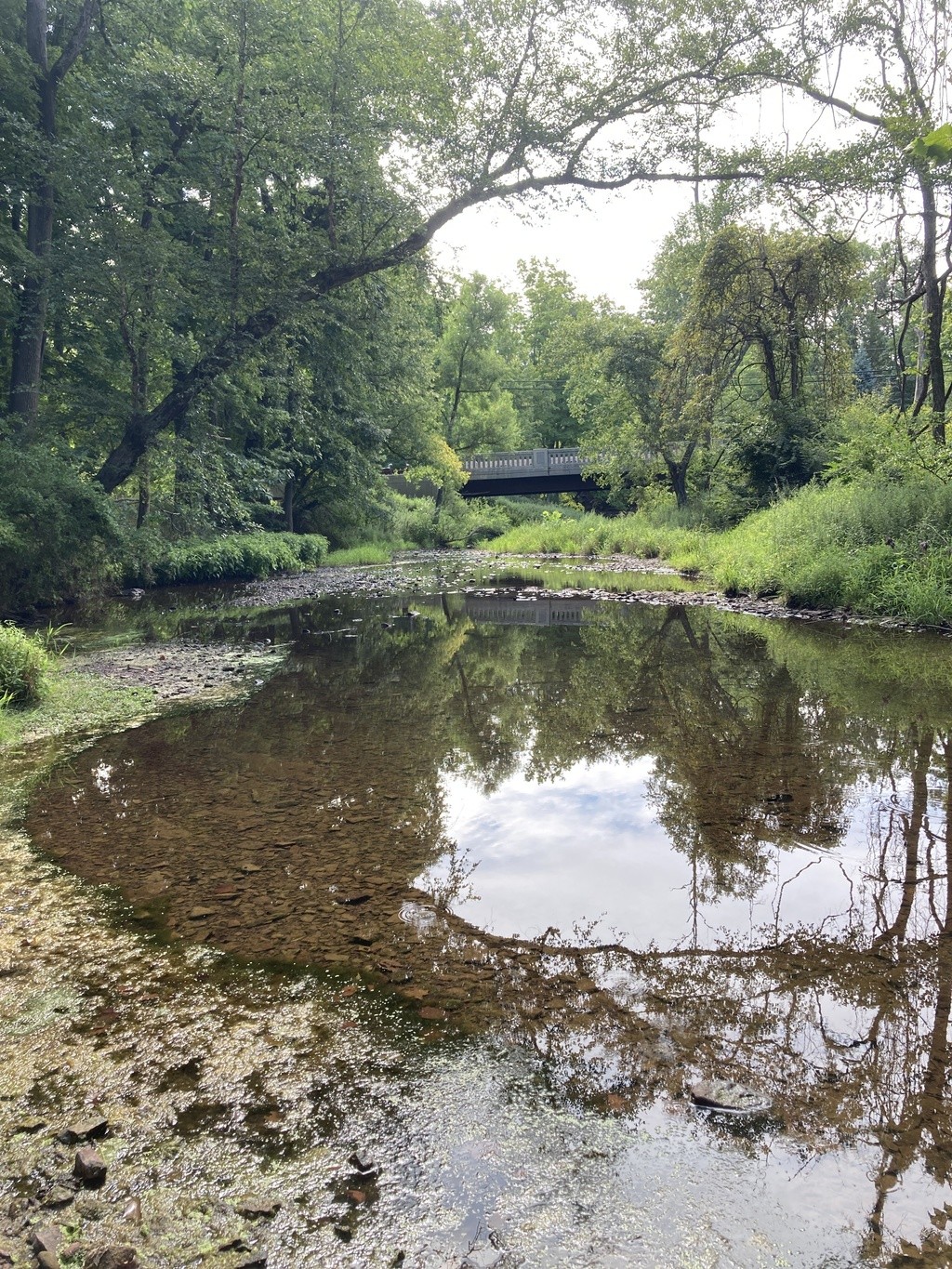 (BD1a) Bedens Brook - Swim Guide