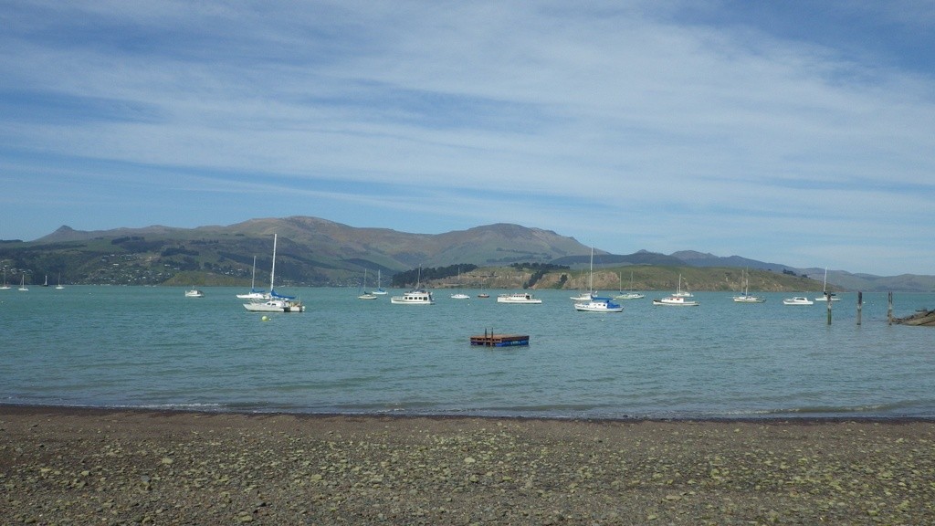 Cass Bay at Boat Ramp - Swim Guide