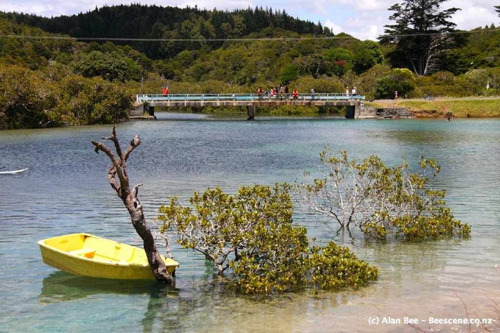 Matapouri Bay Estuary at Northern Bridge - Swim Guide